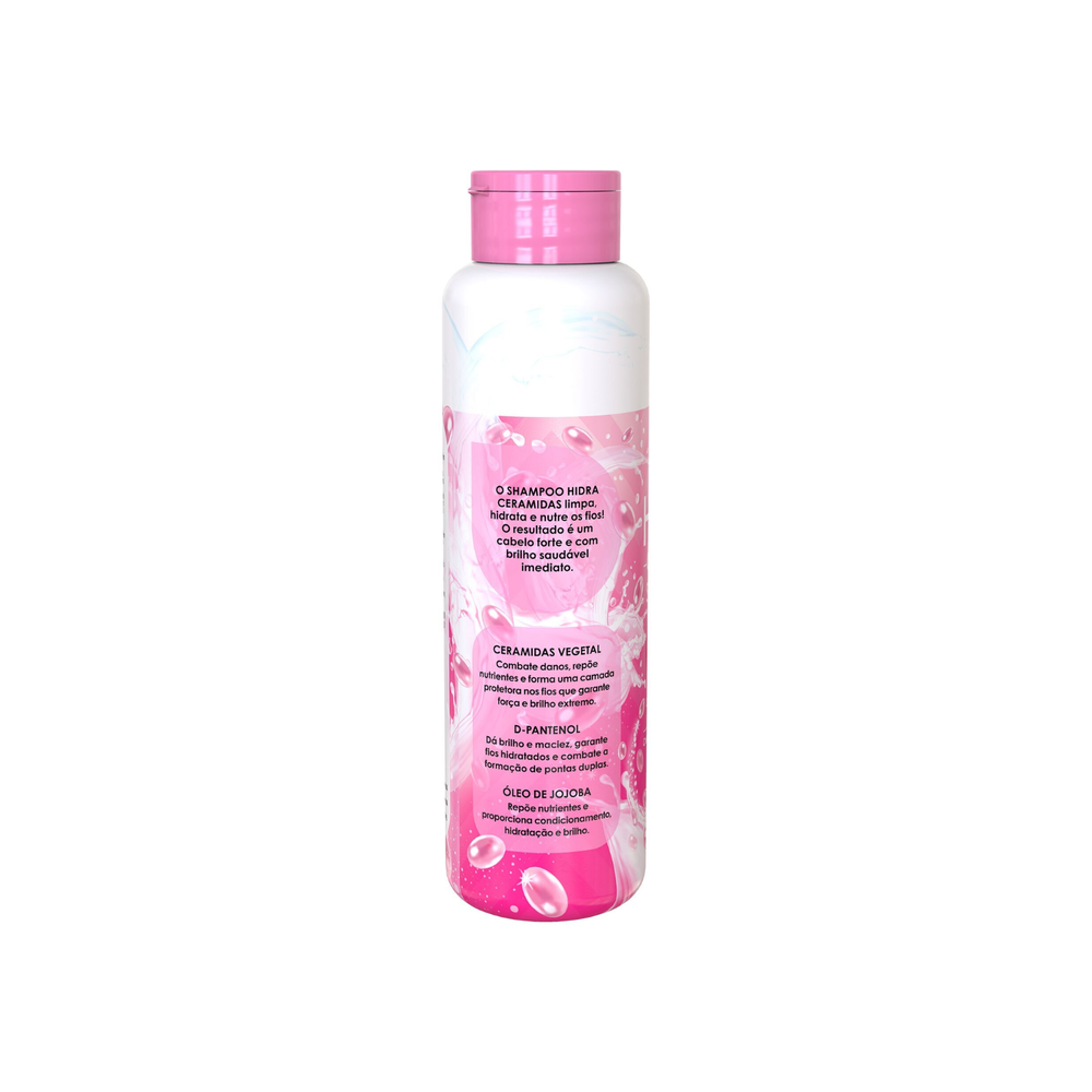 Kit Shampoo Condicionador Hidra Nutrição e Brilho Salon Line ml Equilibra Vida