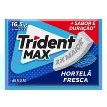TRIDENT MAX HORTELA 16,5G