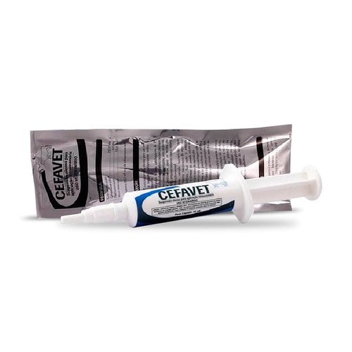 Cefavet 10 ml - Ceva | Antibiótico + Anti-inflamatório para tratamento ...